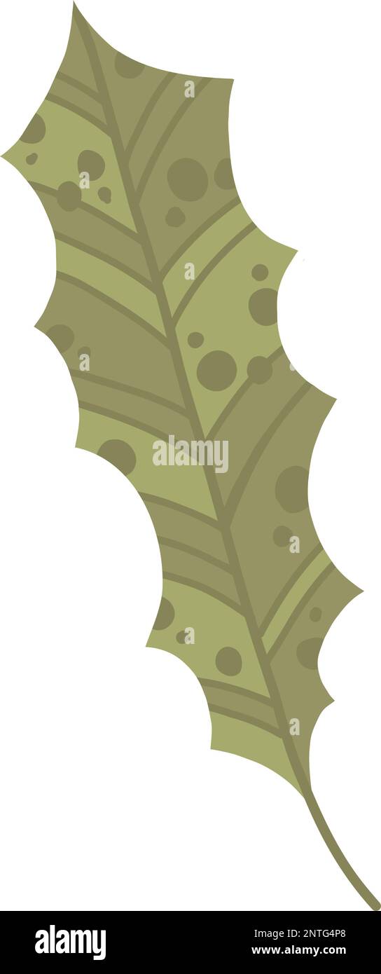 Fall autumn colors leave leaves tree trees Cut Out Stock Images ...