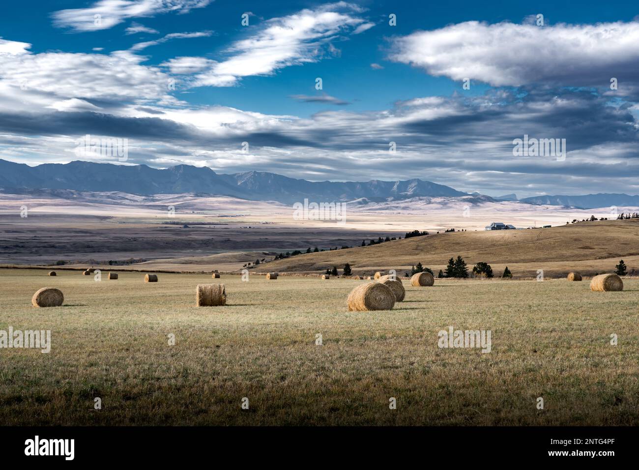 Round hay bales on a harvested agriculture field overlooking the Cowboy ...