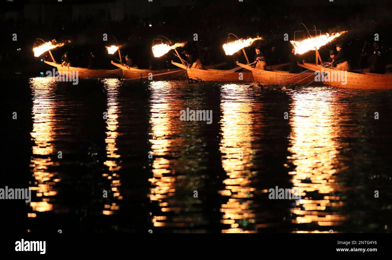 Japanese traditional way to catch sweet fish using cormorants, Ukai ...