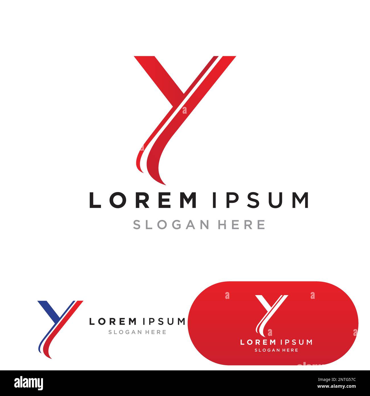 Y Letter Logo Template vector icon illustration design Stock Vector ...