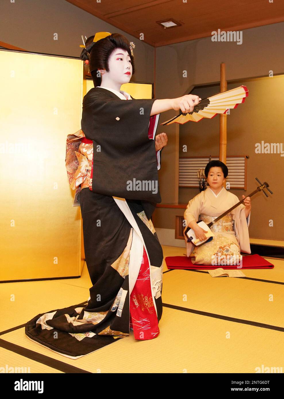 Tamako, a new Tachikata, in charge of dancing, of Geiko, known as ...