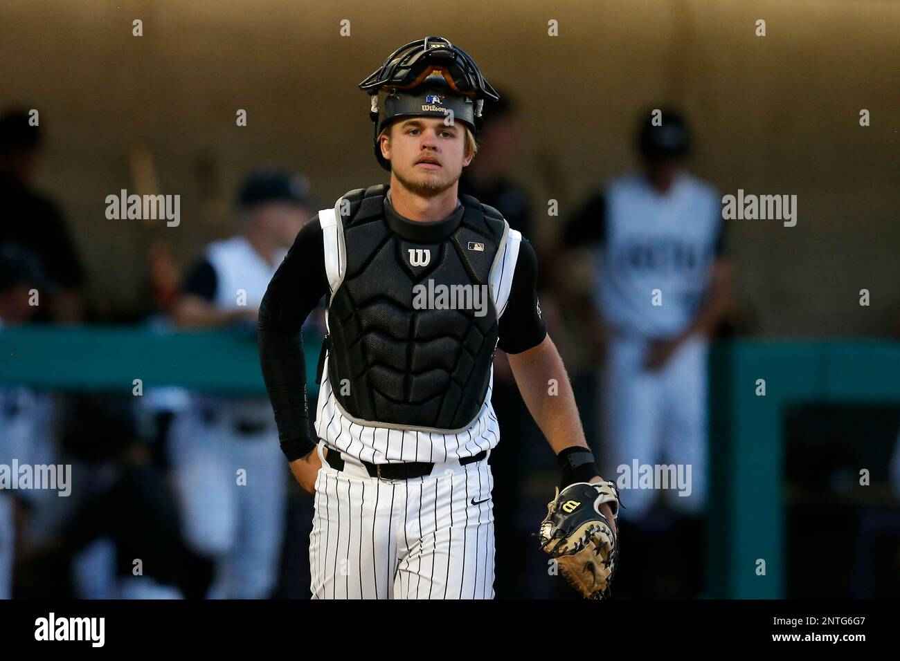 Grand Canyon catcher Seth Beckstead (4) during an NCAA college baseball ...