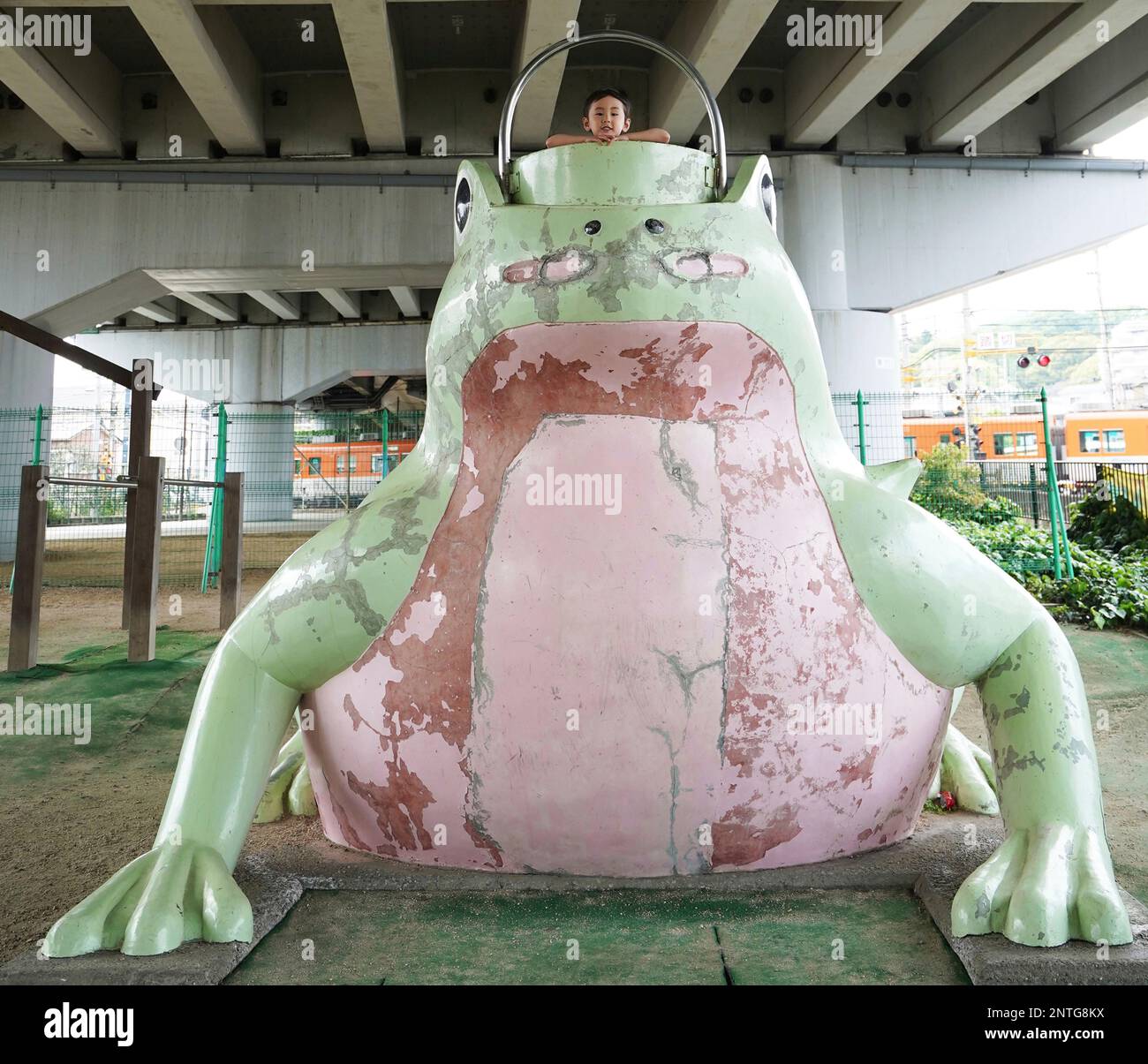 A huge toad slide is located at " Frog Park" underneath the Hanshin Highway in Suma distict ...