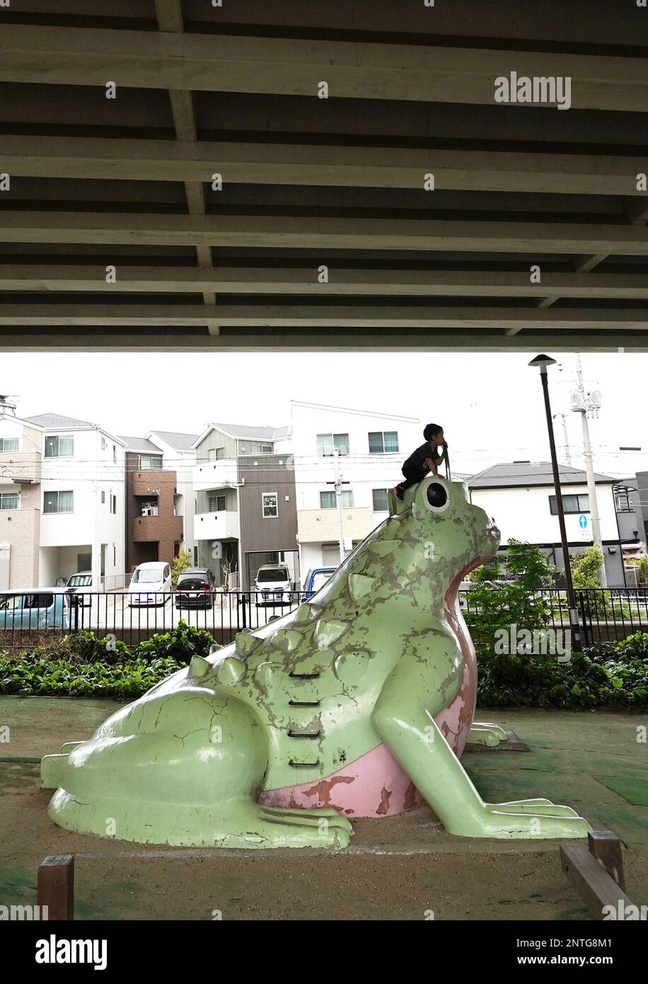 A huge toad slide is located at " Frog Park" underneath the Hanshin Highway in Suma distict ...