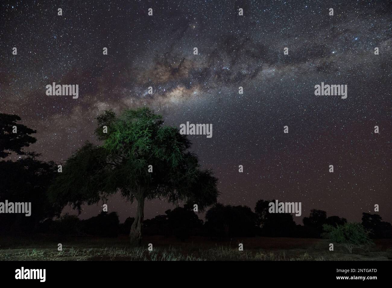 The Milky Way seen in Zimbabwe's Mana Pools National Park Stock Photo ...