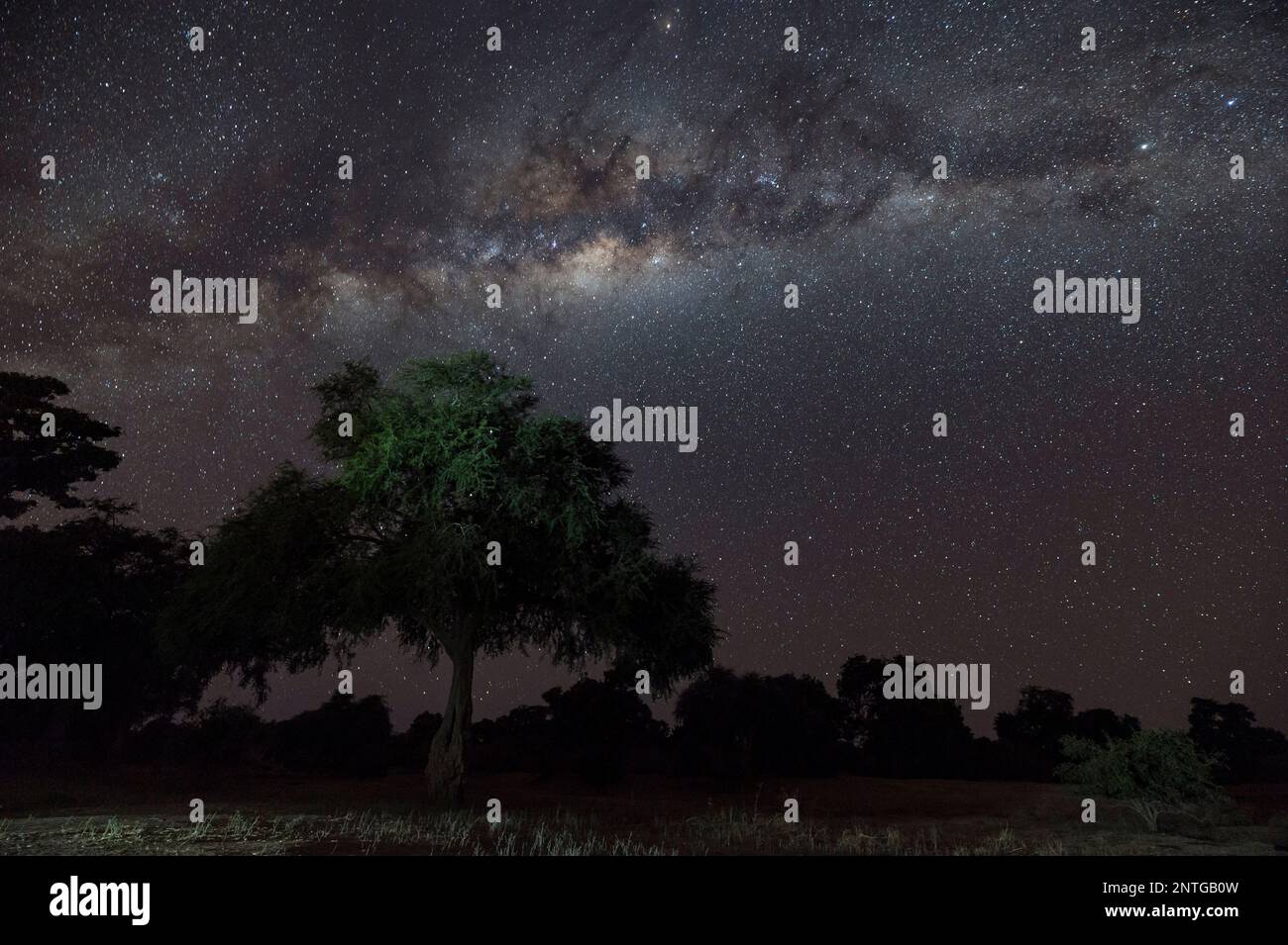 The Milky Way seen in Zimbabwe's Mana Pools National Park Stock Photo ...