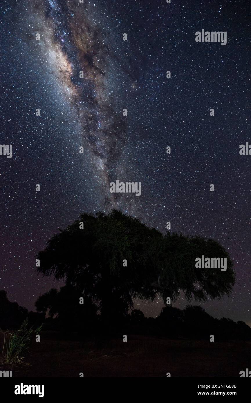 The Milky Way seen in Zimbabwe's Mana Pools National Park Stock Photo ...