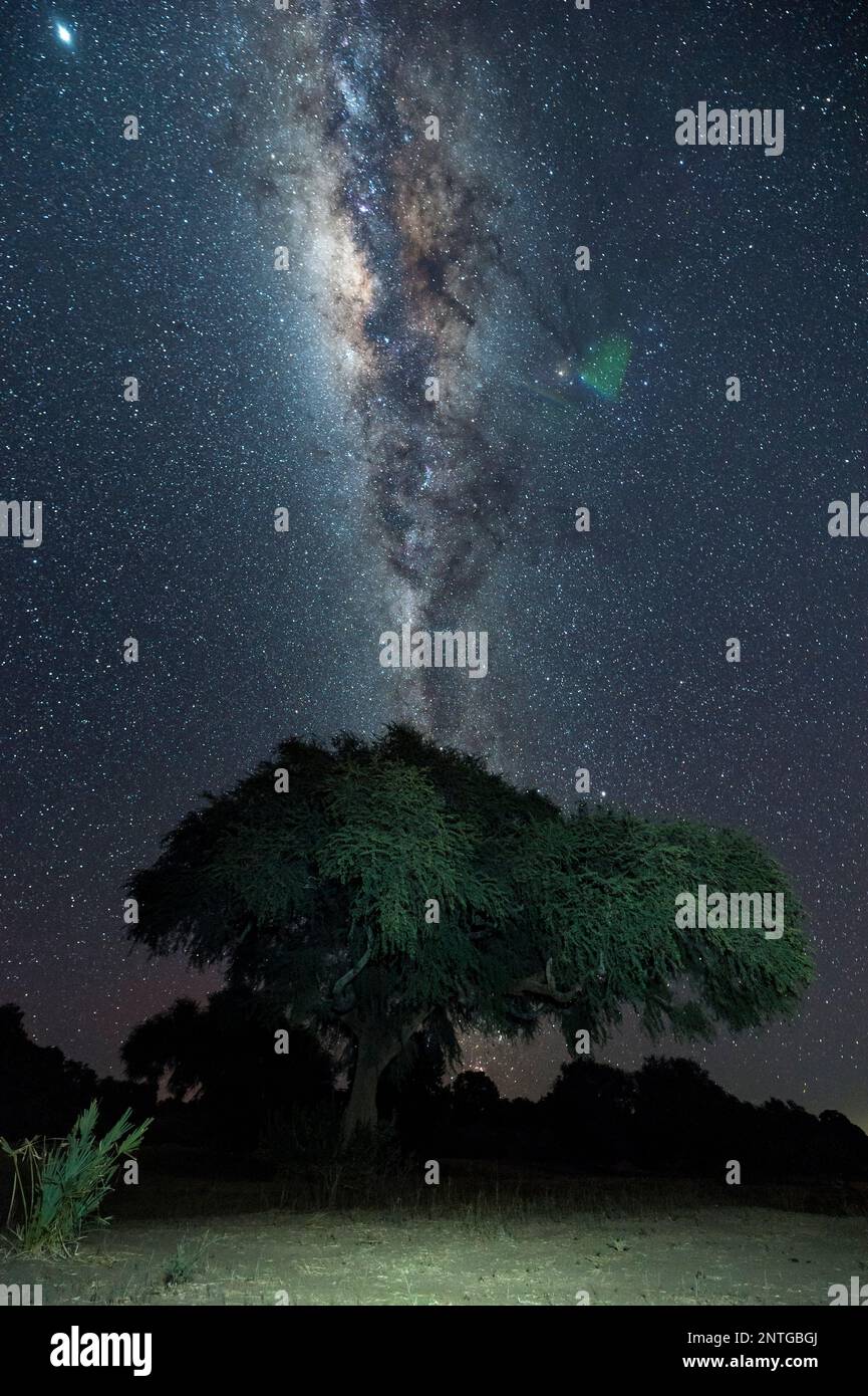 The Milky Way seen in Zimbabwe's Mana Pools National Park Stock Photo ...