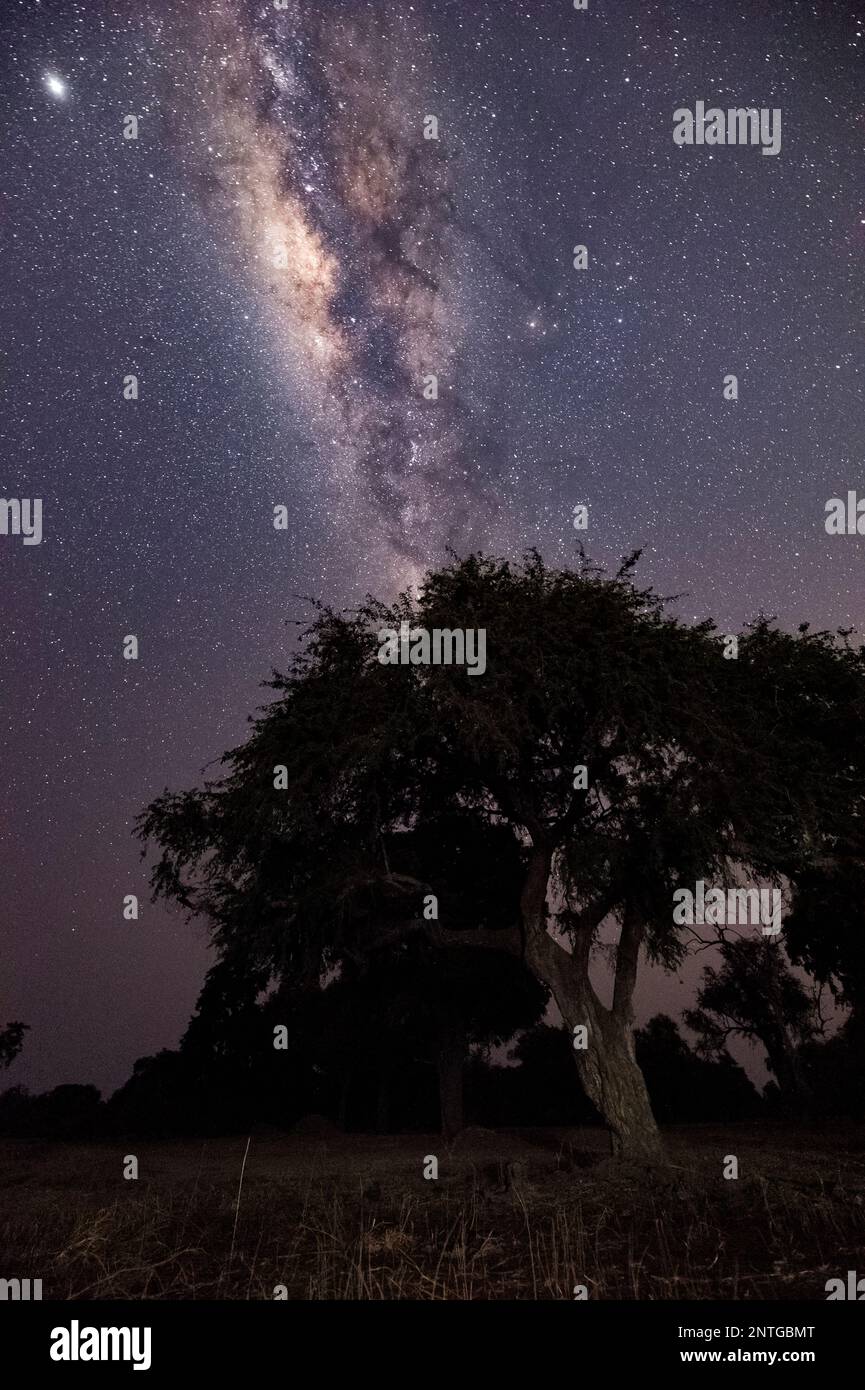 The Milky Way seen in Zimbabwe's Mana Pools National Park Stock Photo ...