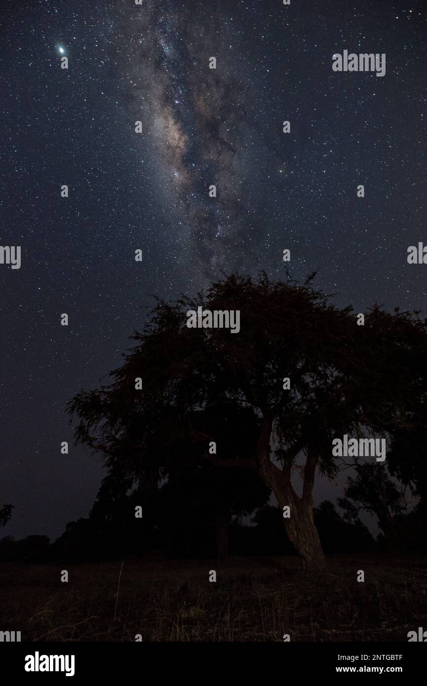 The Milky Way seen in Zimbabwe's Mana Pools National Park Stock Photo ...