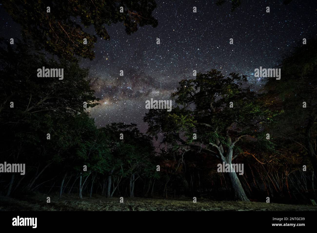 The Milky Way seen in Zimbabwe's Mana Pools National Park Stock Photo ...