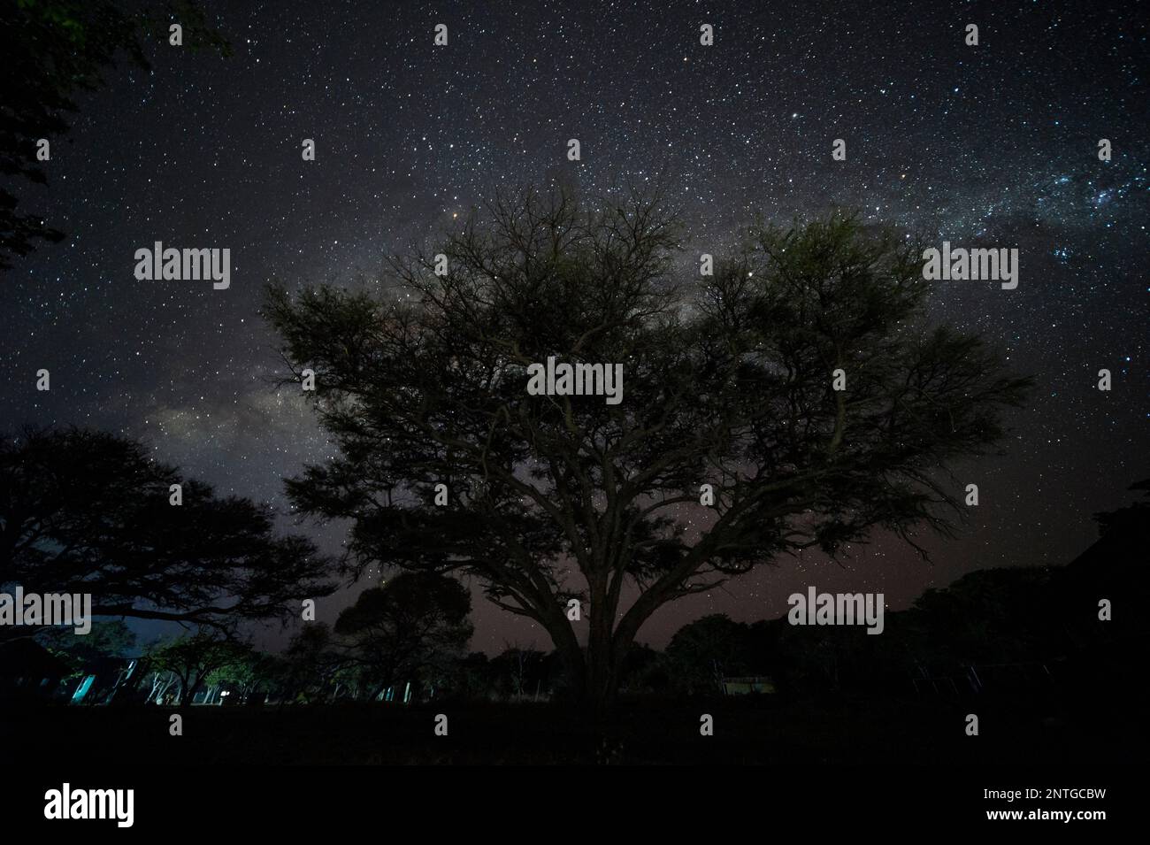 The Milky Way seen on a clear night in Zimbabwe Stock Photo - Alamy