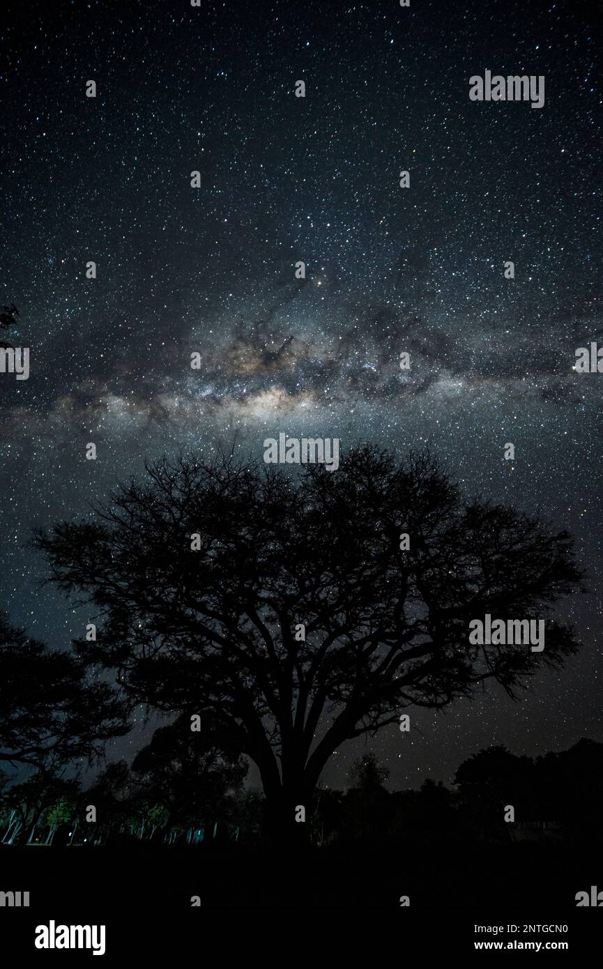 The Milky Way seen on a clear night in Zimbabwe Stock Photo - Alamy