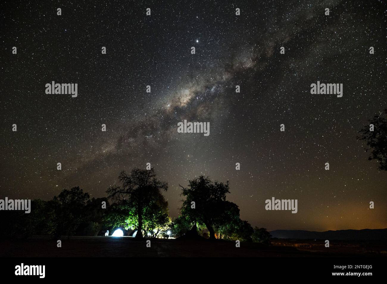 Milky way and ana tree hi-res stock photography and images - Alamy