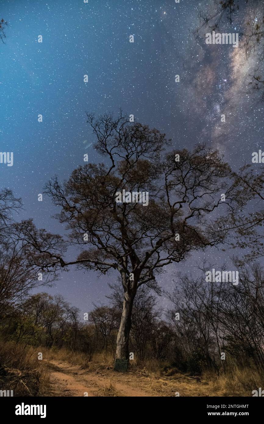 The Milky Way seen on a clear night in Zimbabwe Stock Photo - Alamy