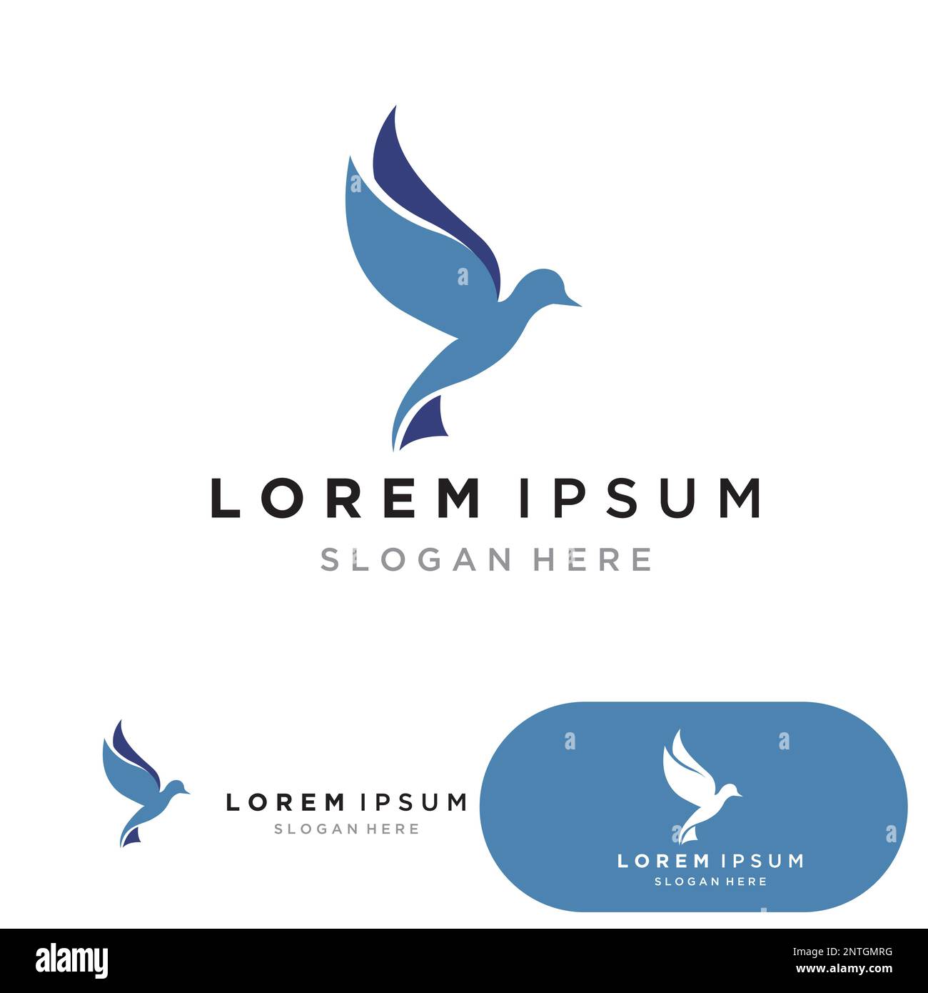 Bird wing Dove Logo Template vector illustration Stock Vector Image ...