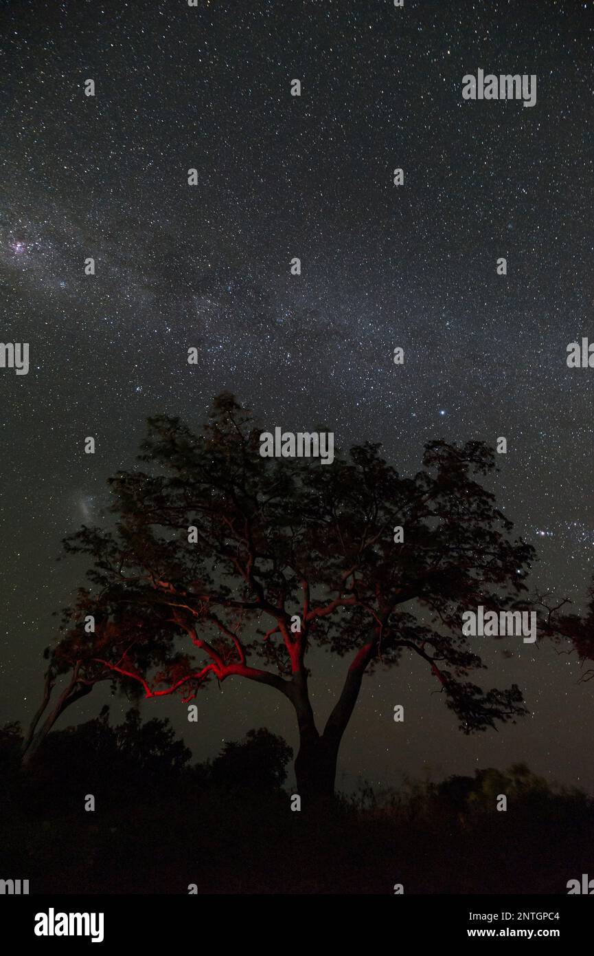 The Milky Way seen on a clear night in Zimbabwe Stock Photo - Alamy