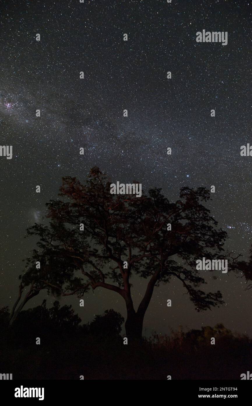 The Milky Way seen on a clear night in Zimbabwe Stock Photo - Alamy