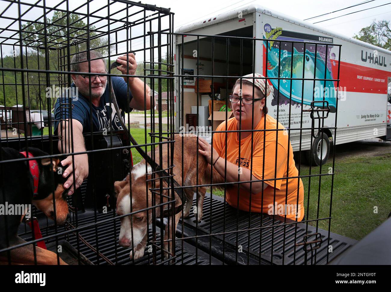 Kim Bazzell coaxes a nervous Aussie into a crate as her husband Ted ...