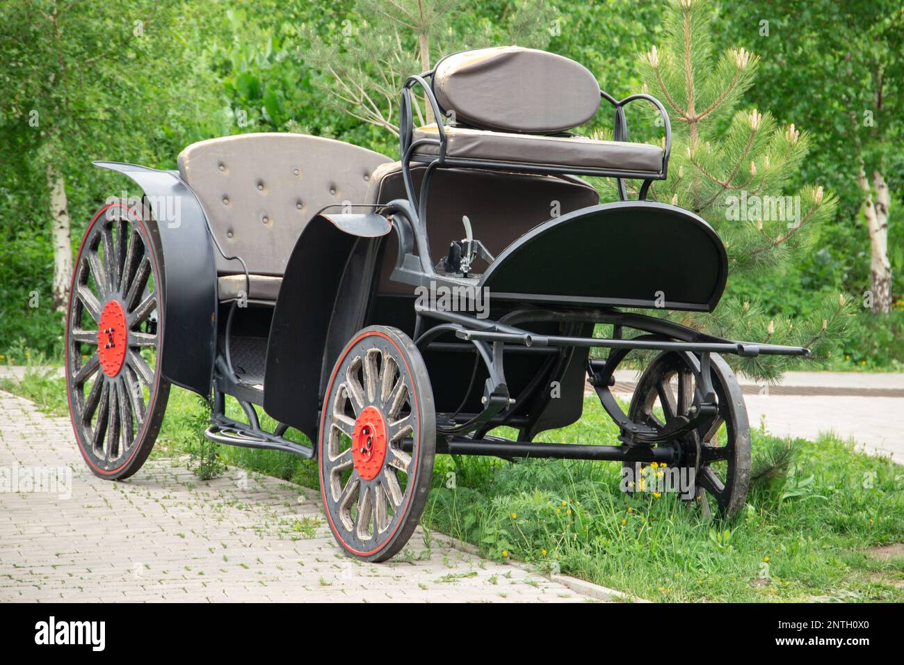 Carriage or brougham - an outdated means of transportation for a team ...