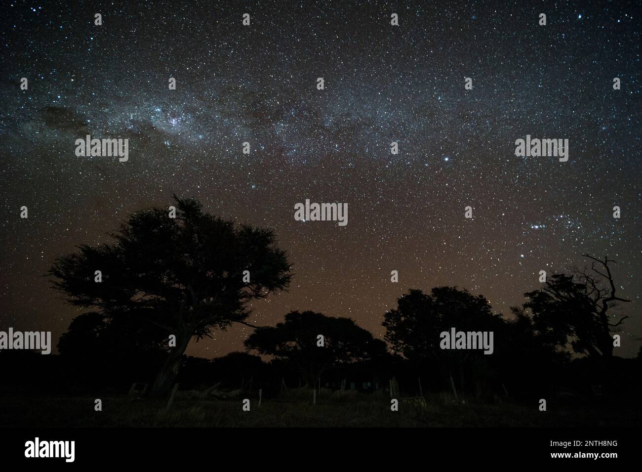 The Milky Way seen on a clear African night Stock Photo - Alamy