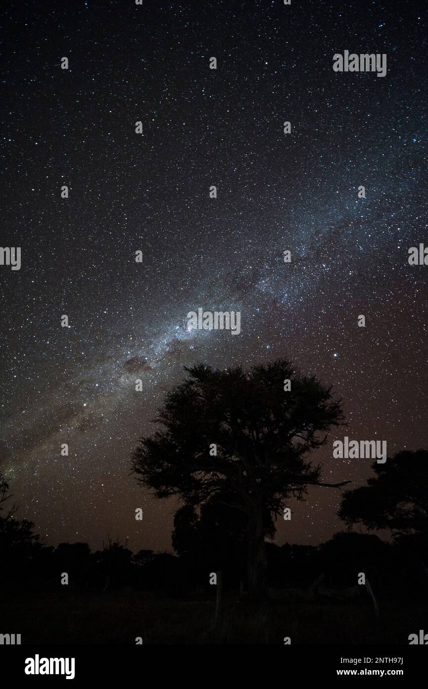 The Milky Way seen in Zimbabwe's Mana Pools National Park Stock Photo ...