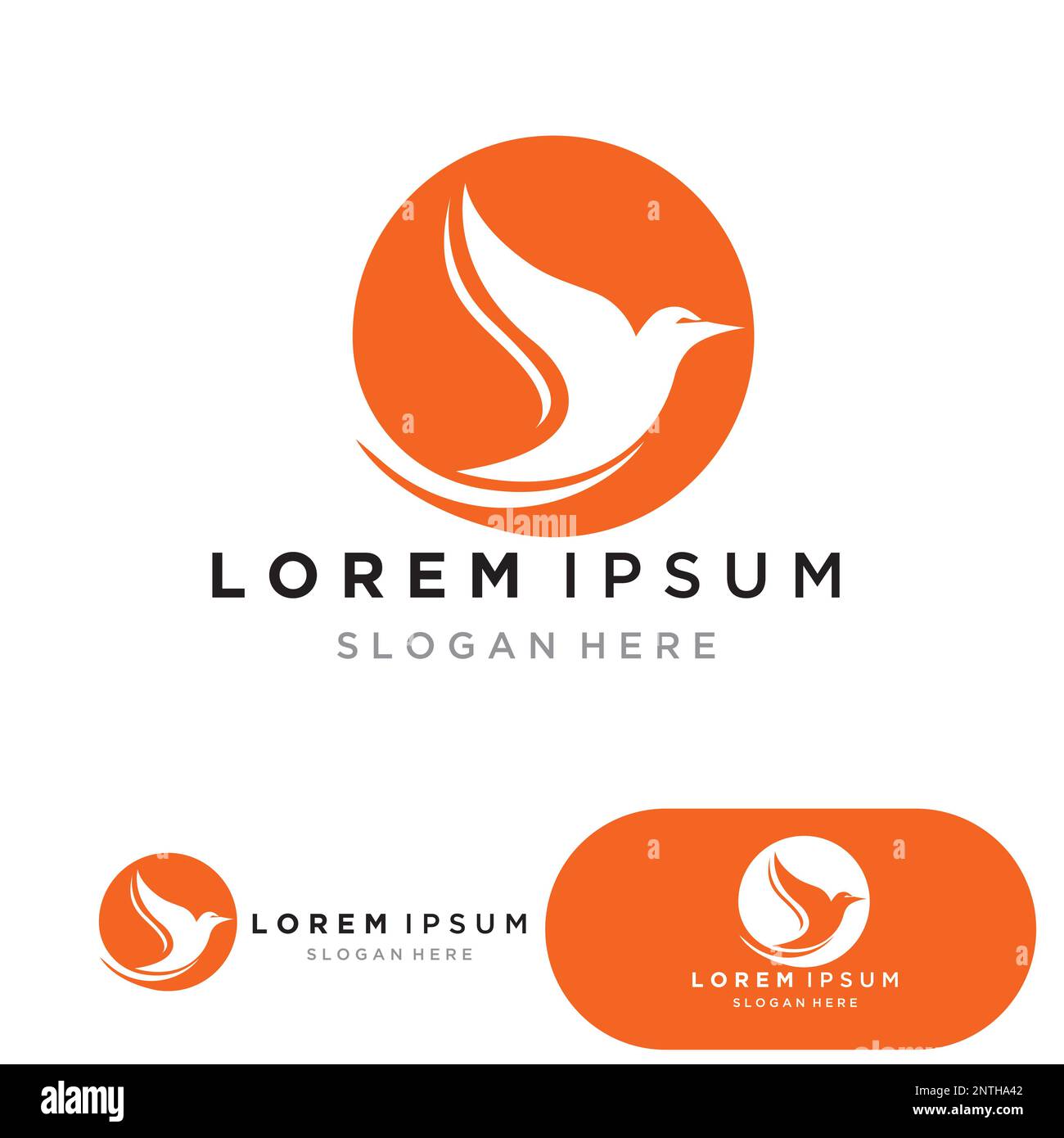 Bird wing Dove Logo Template vector illustration Stock Vector Image ...