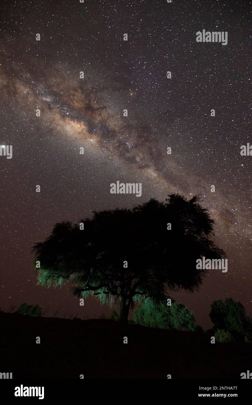 The Milky Way seen in Zimbabwe's Mana Pools National Park Stock Photo ...