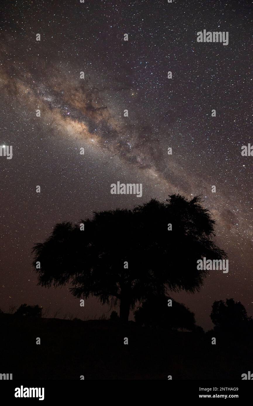 The Milky Way seen in Zimbabwe's Mana Pools National Park Stock Photo ...