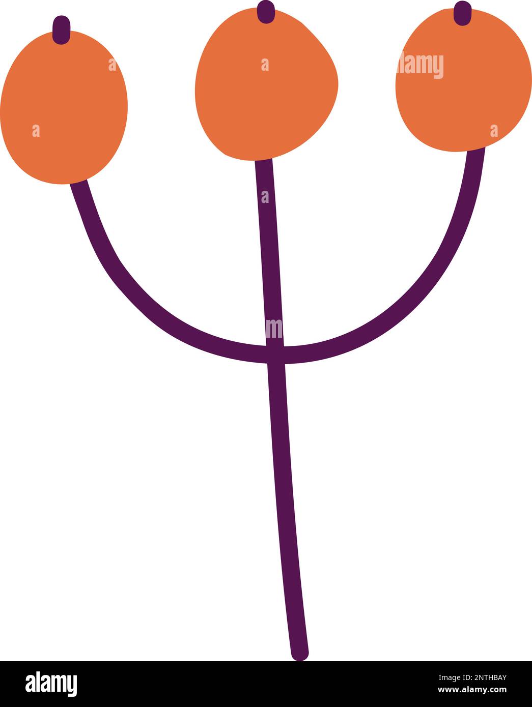 Abstract trendy doodle art. Set of hand drawn plant, curve, shape ...