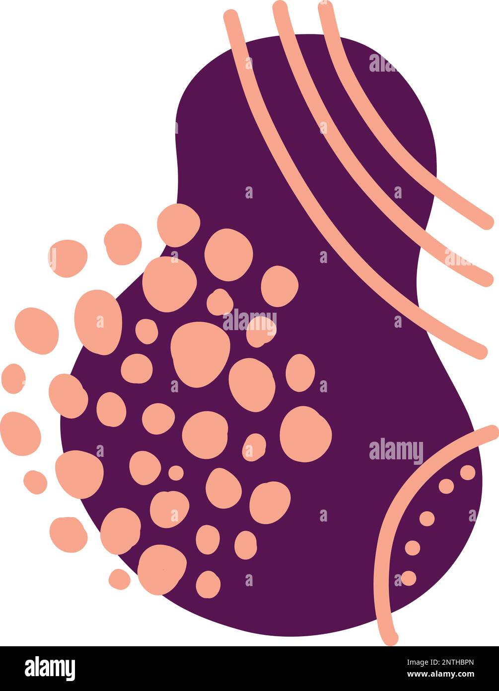 Abstract Trendy Doodle Art Set Of Hand Drawn Plant Curve Shape Object Blob Design Element