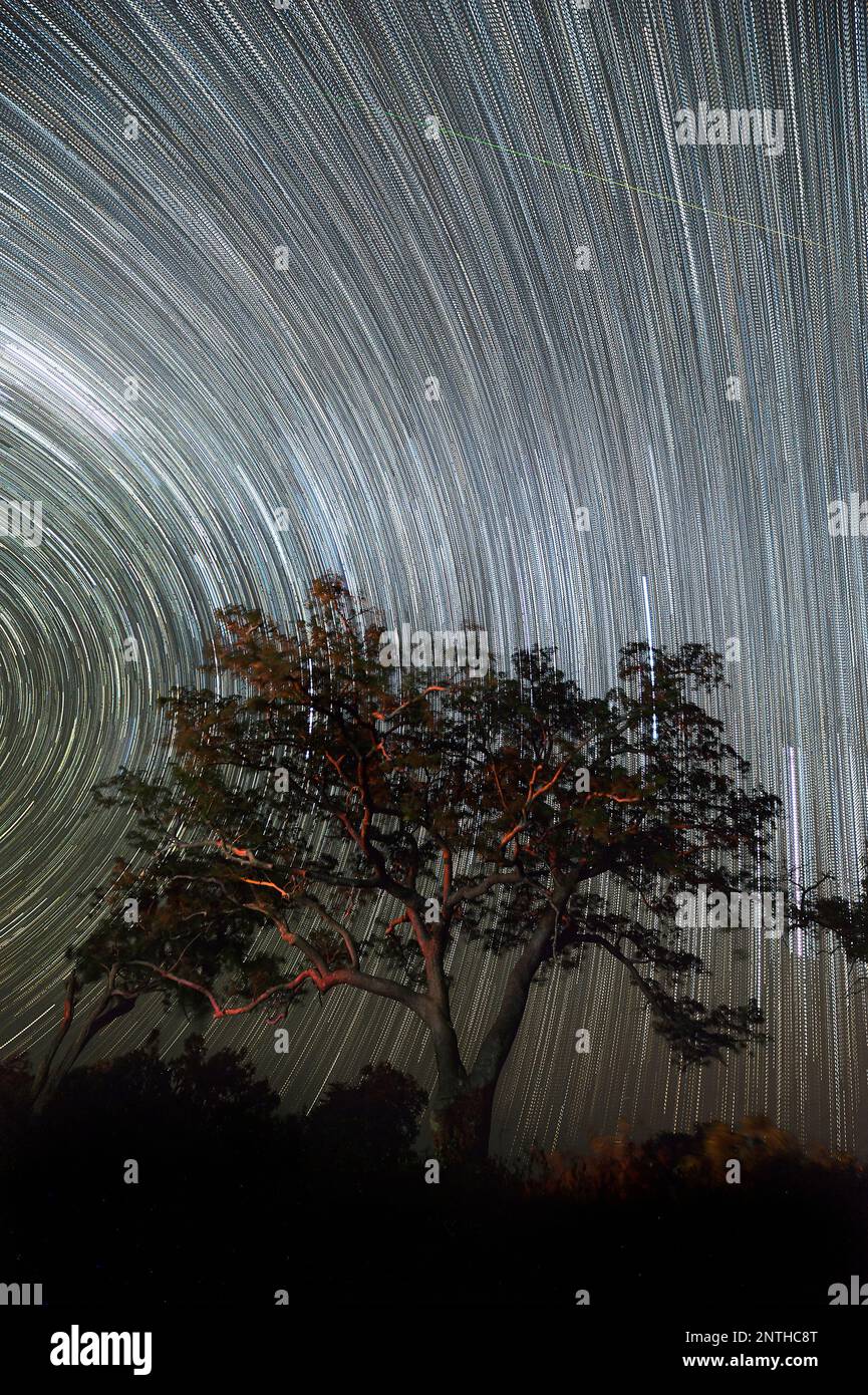 The movement of the stars on a clear African night Stock Photo - Alamy