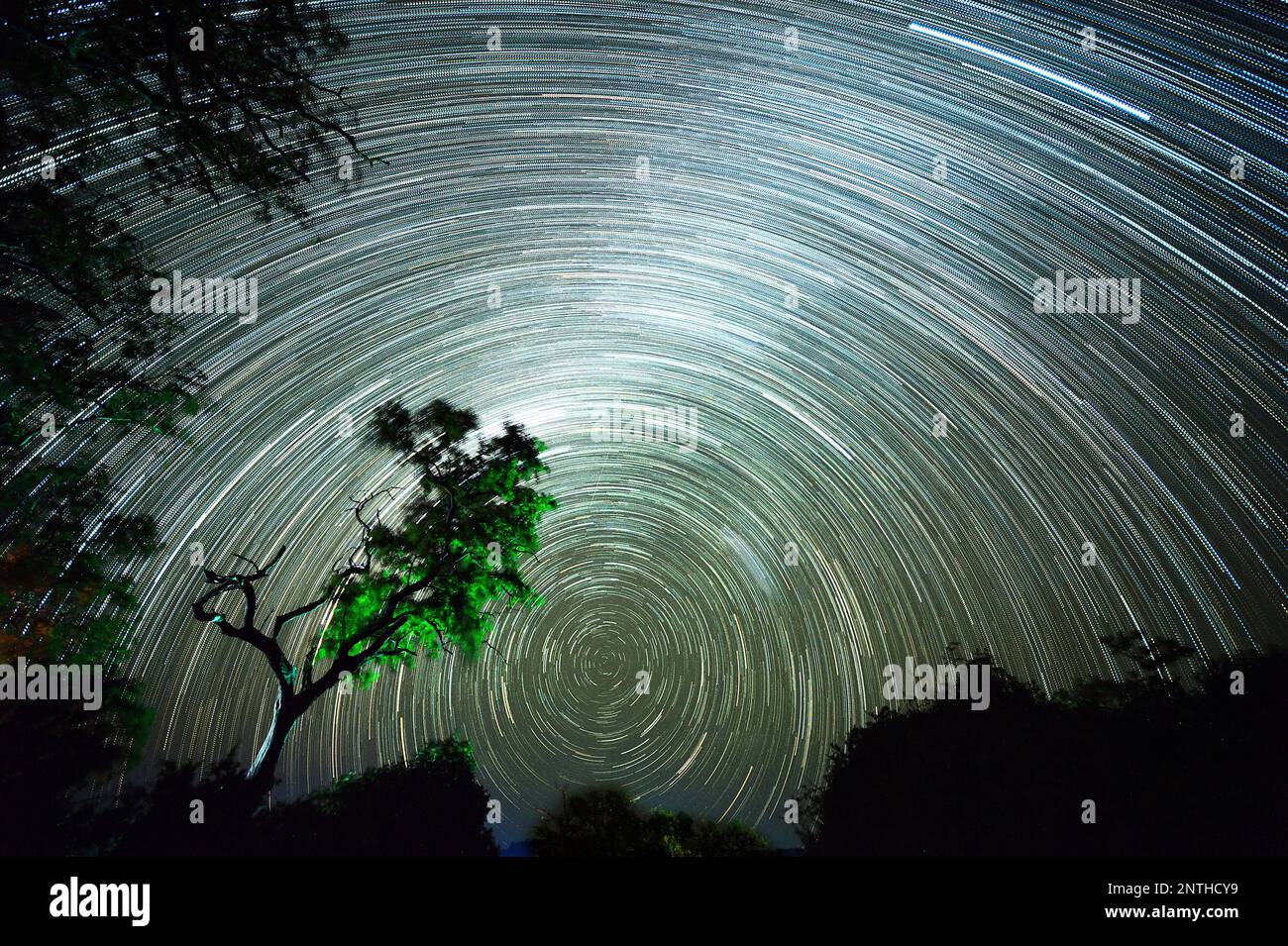 The movement of the stars on a clear African night Stock Photo - Alamy