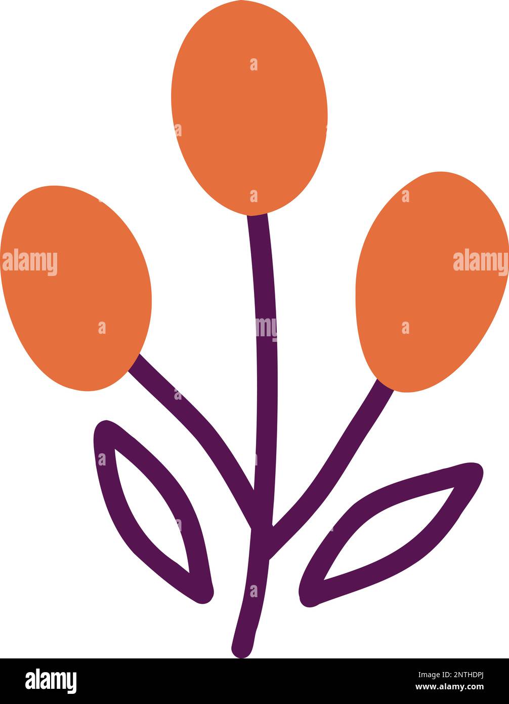 Abstract trendy doodle art. Set of hand drawn plant, curve, shape ...