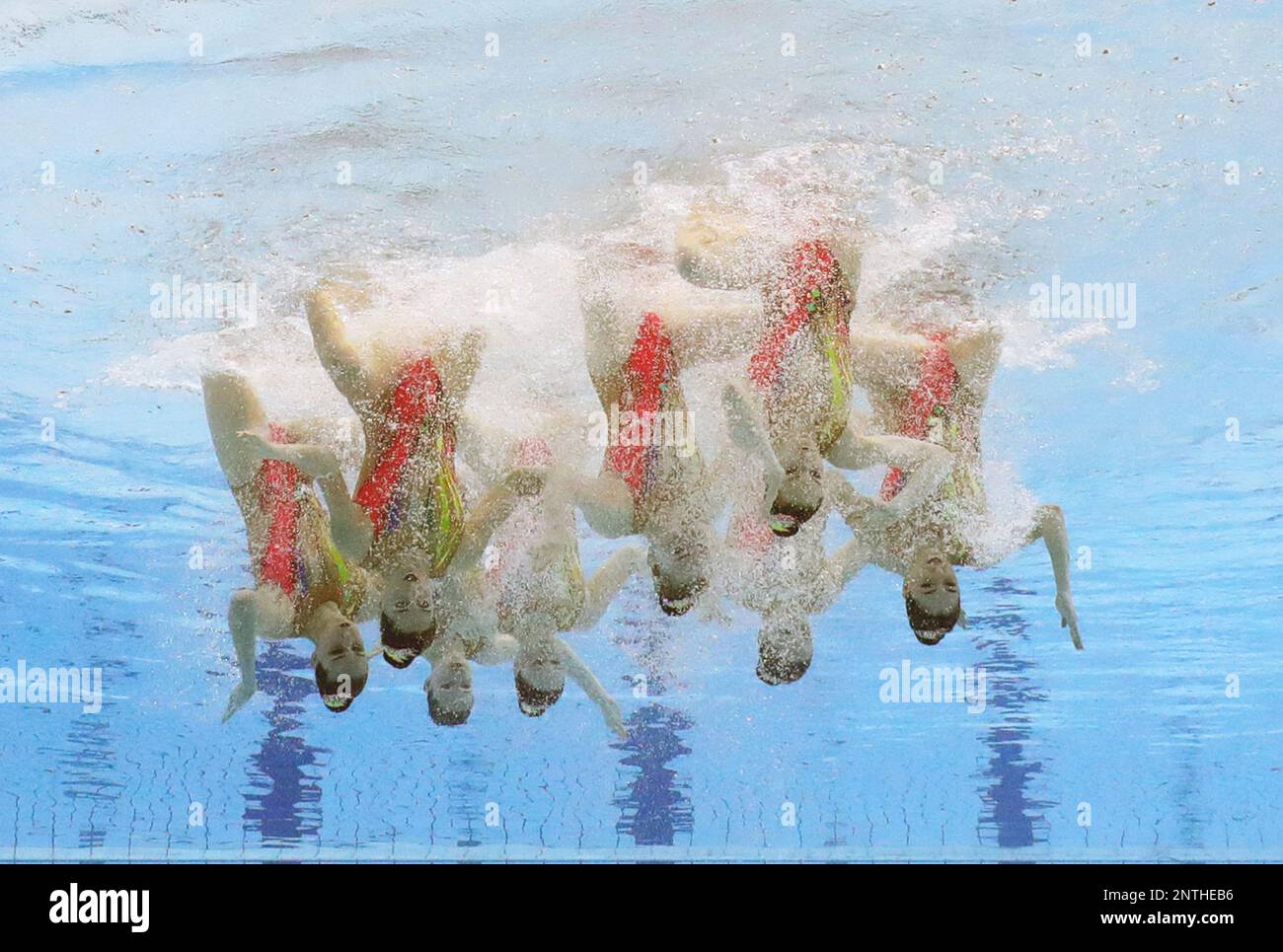 France's swimmers perform during the Team Free Routine Final of FINA ...
