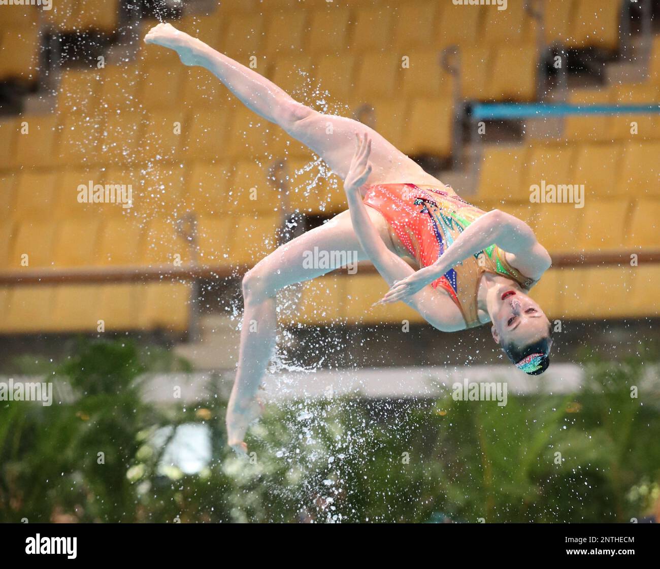 French team's swimmers perform during the Team Free Routine Final of ...