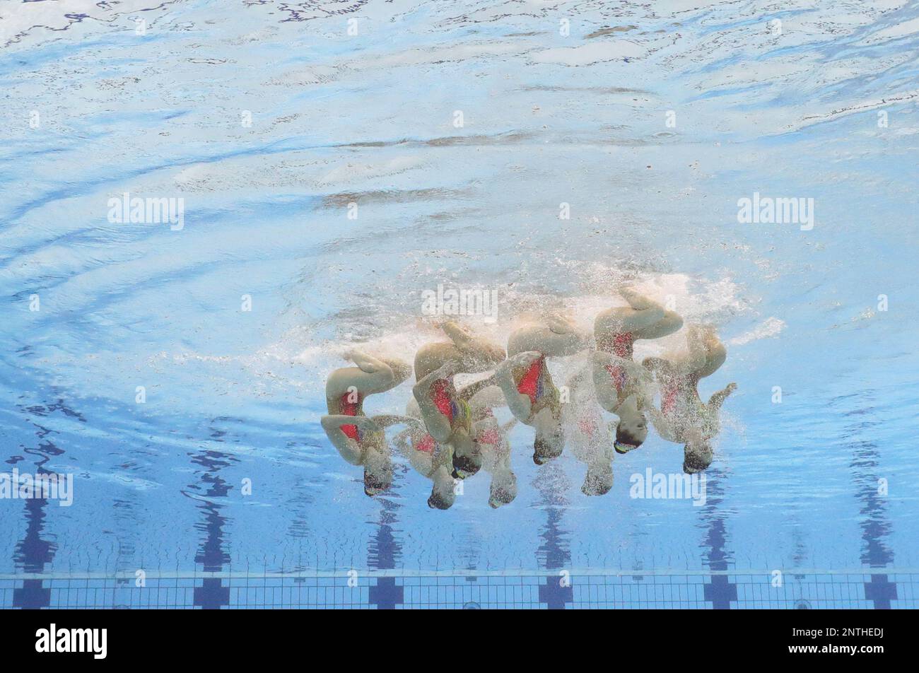 France's swimmers perform during the Team Free Routine Final of FINA ...