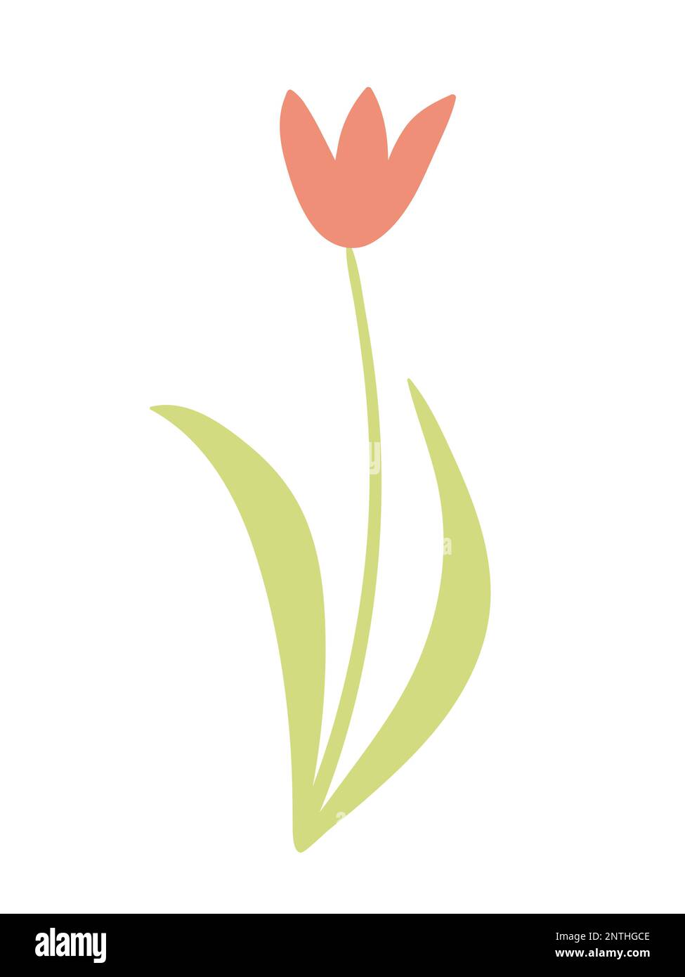 Vector tulip illustration Stock Vector Image & Art - Alamy