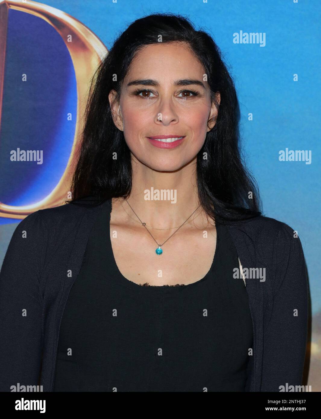 Hollywood, USA. 27th Feb, 2023. Sarah Silverman arrives at The Red ...