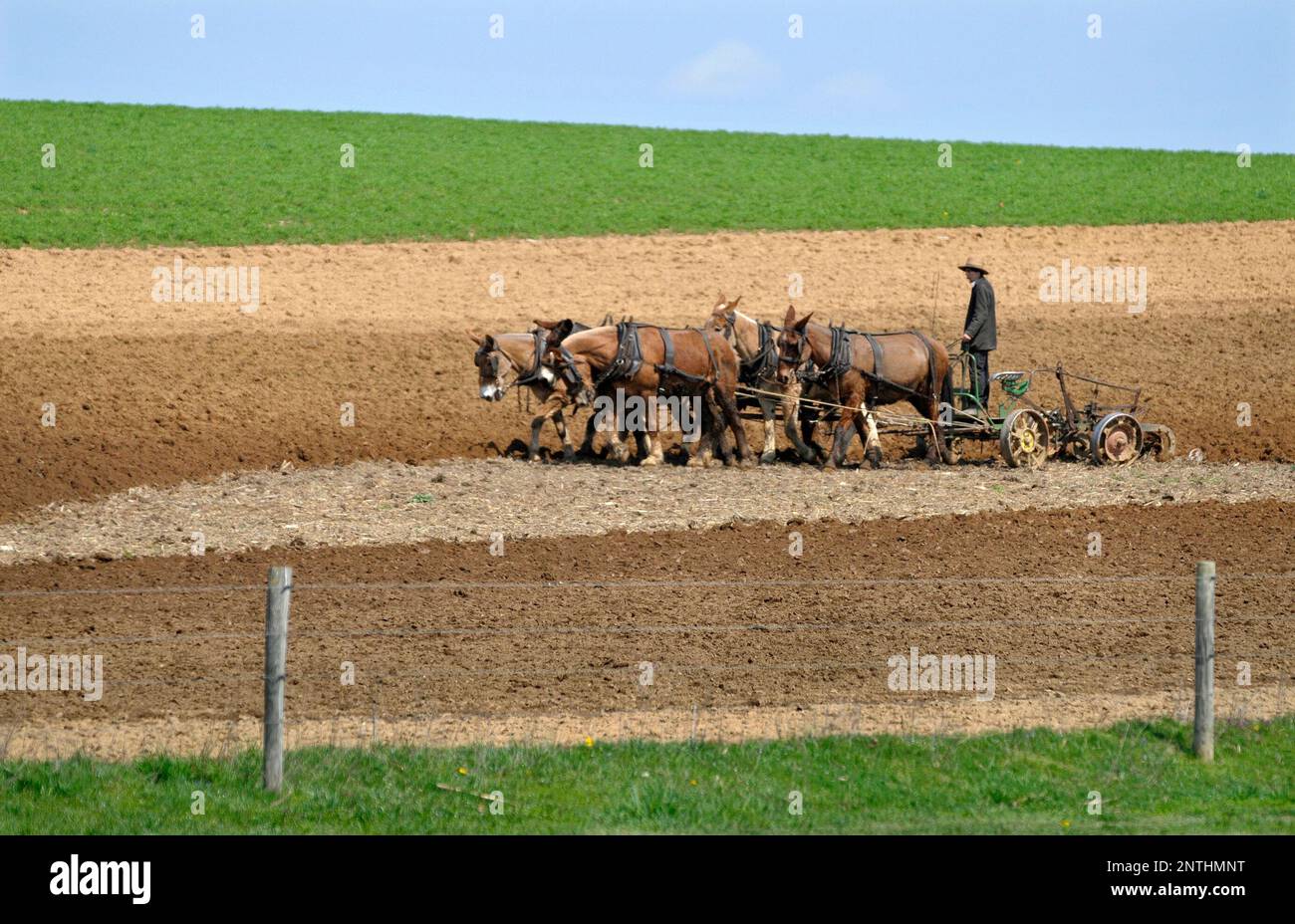 FILE - In this April 15, 2011 file photo, an Amish farmer plows a field near New Holland, Pa ...