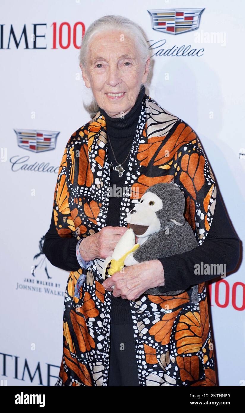 Photo by: zz/John Nacion/STAR MAX/IPx 2019 4/23/19 Jane Goodall at the ...