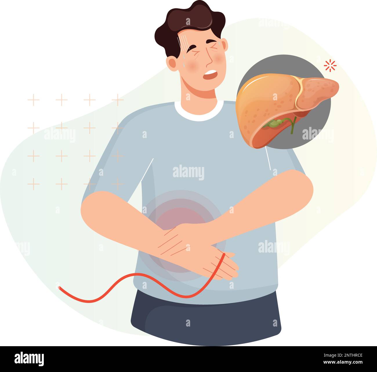 Fatty Liver - Stock Illustration as EPS 10 File Stock Vector Image ...