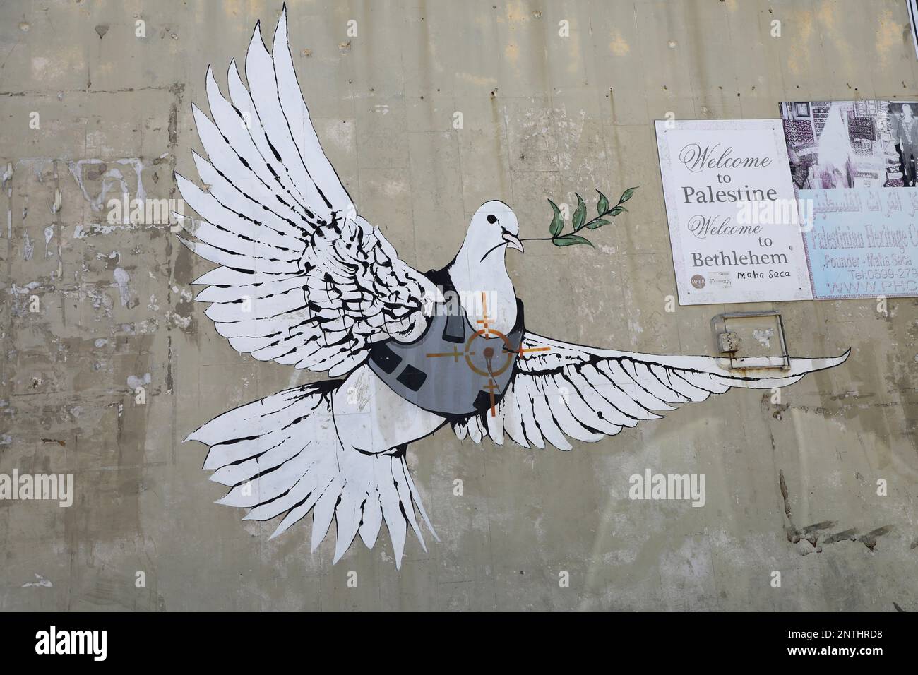 A photo shows "Armored Dove" by an elusive artist Banksy in Bethlehem ...