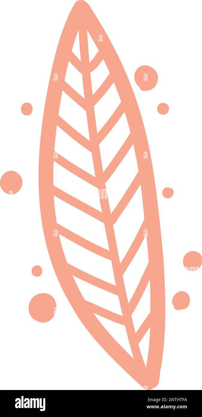 Abstract trendy doodle art. Set of hand drawn plant, curve, shape ...