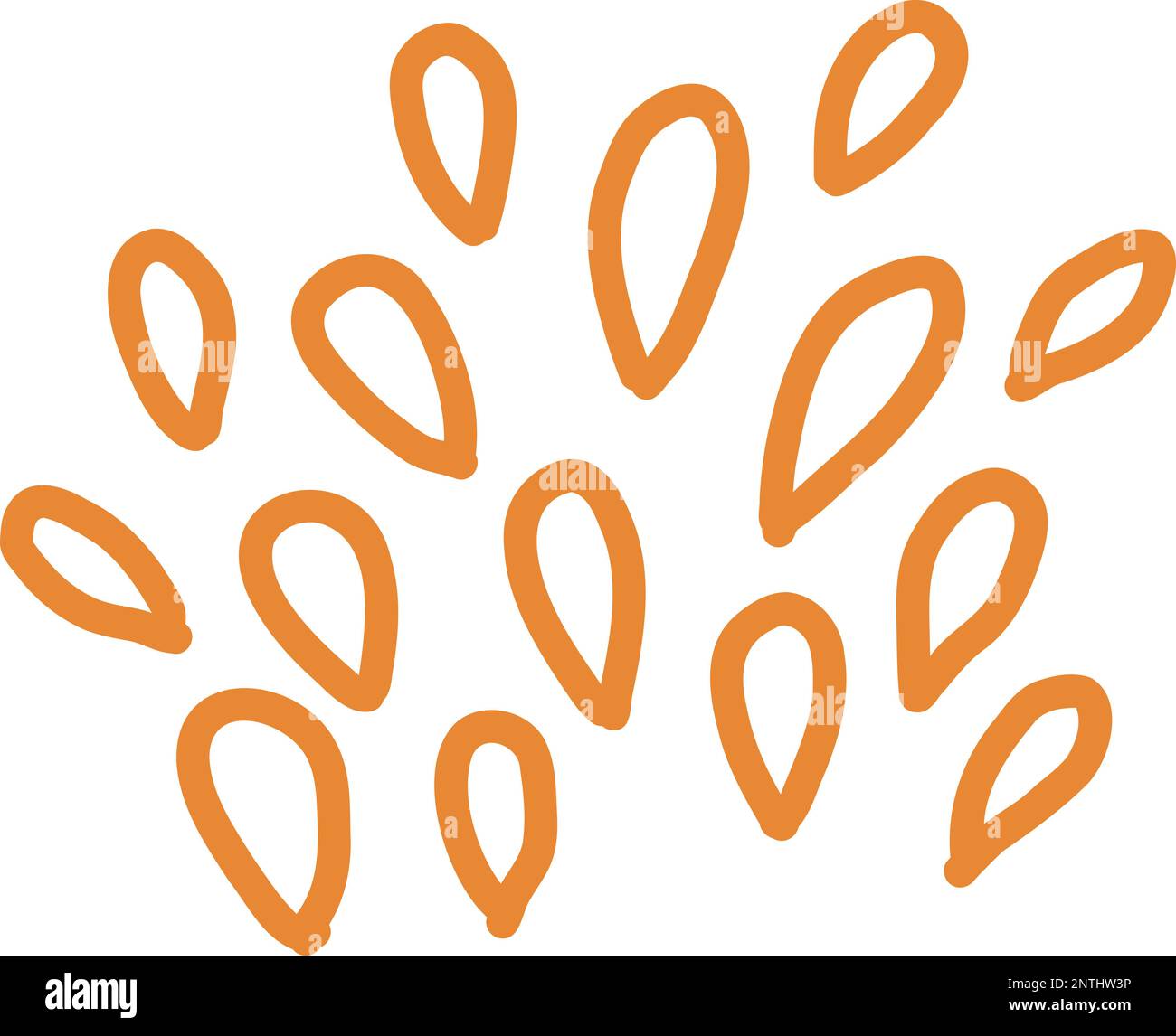 Abstract Trendy Doodle Art Set Of Hand Drawn Plant Curve Shape Object Blob Design Element