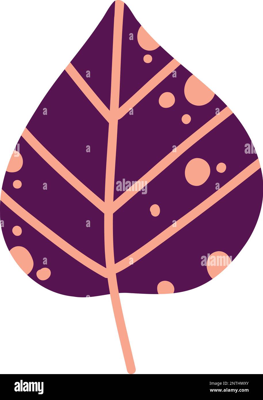 Abstract trendy doodle art. Set of hand drawn plant, curve, shape ...