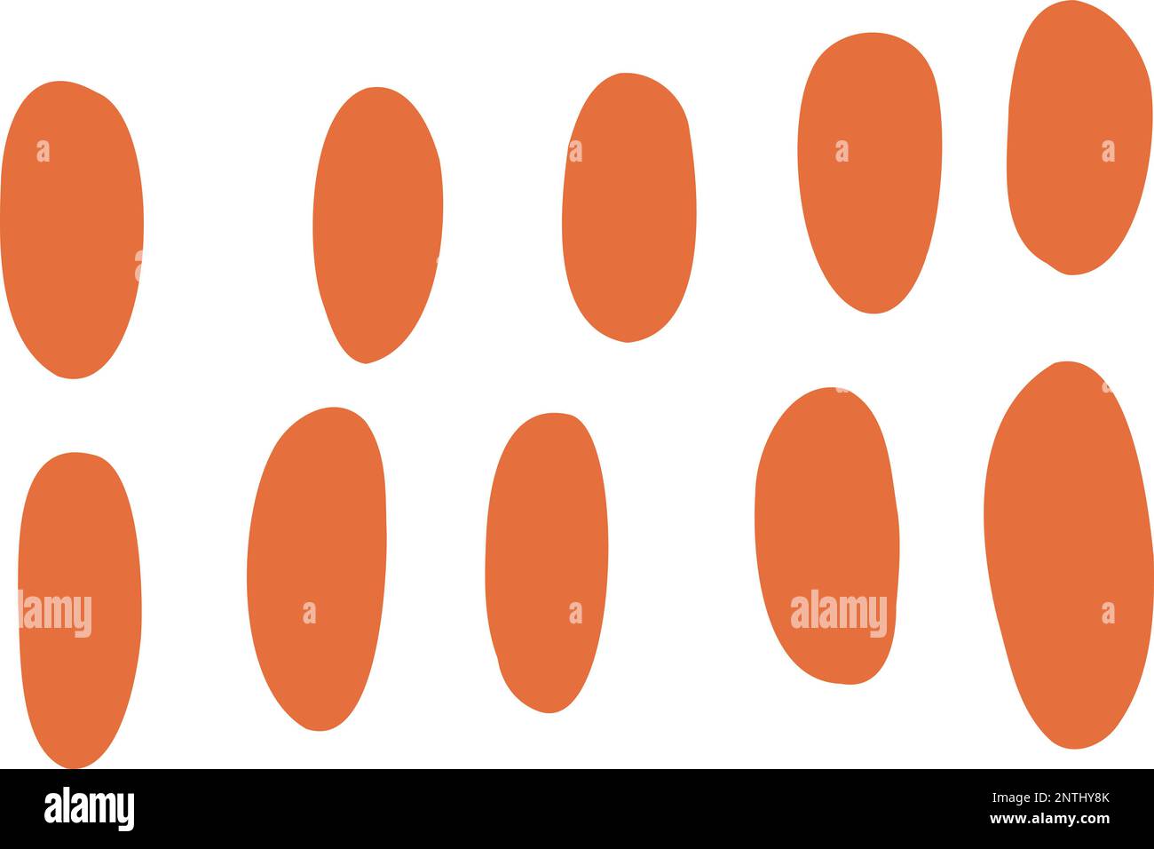 Abstract Trendy Doodle Art Set Of Hand Drawn Plant Curve Shape Object Blob Design Element