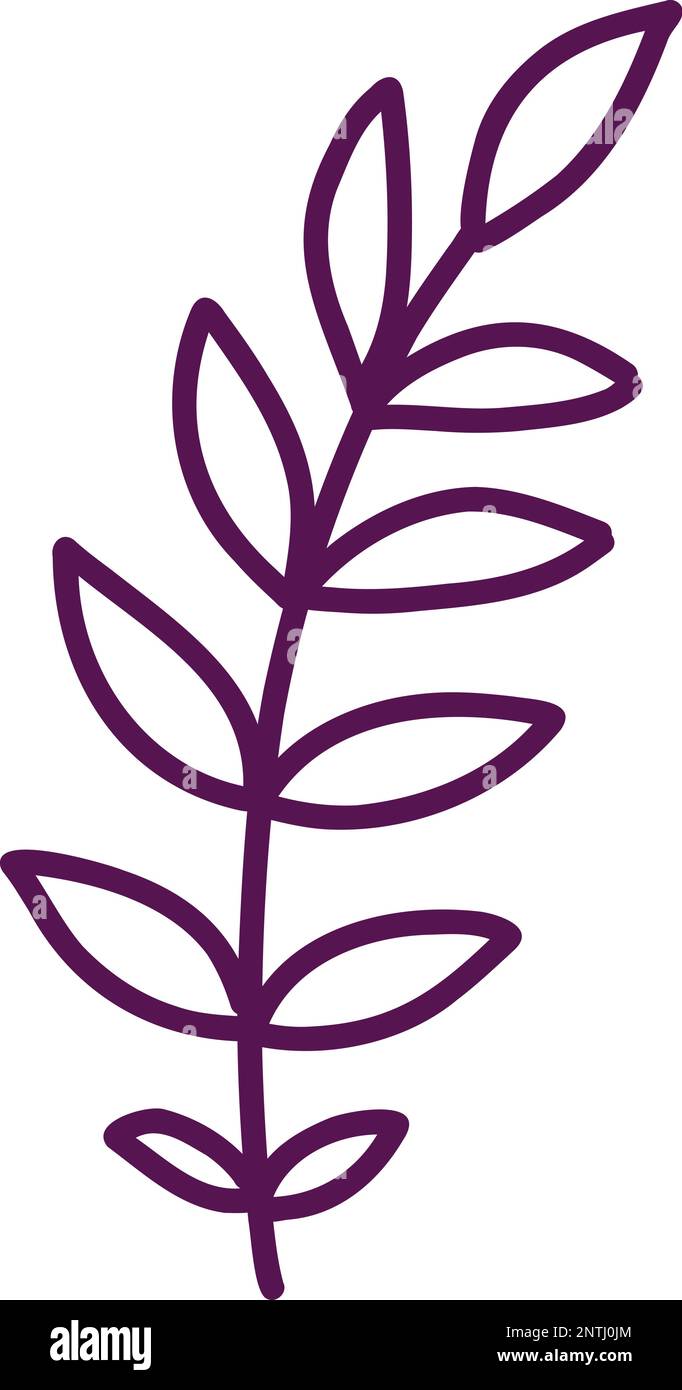 Abstract trendy doodle art. Set of hand drawn plant, curve, shape ...