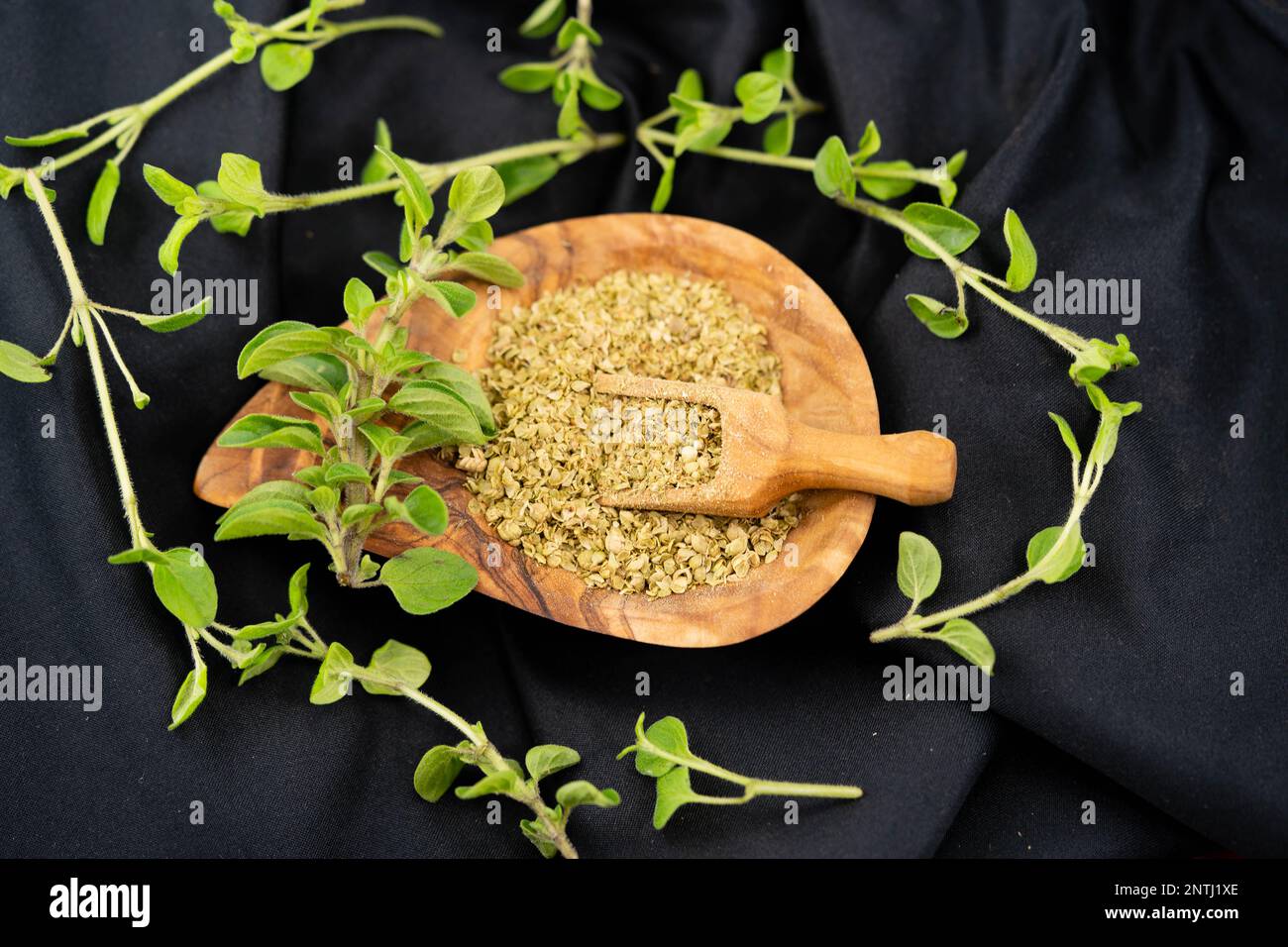 oregano origanum vulgare delicious kitchen herbs Stock Photo - Alamy
