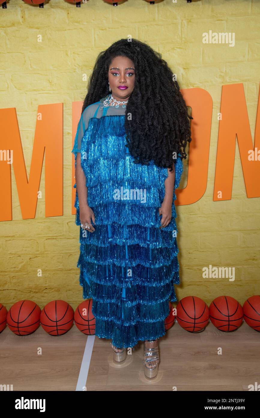 NEW YORK, NEW YORK - FEBRUARY 27: TK Wonder attends the premiere of ...